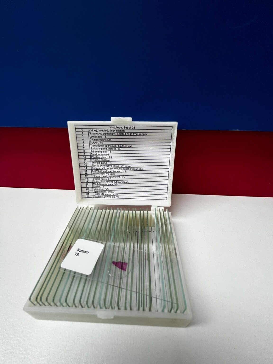 Placas fijas para microscopio | PEMESA
